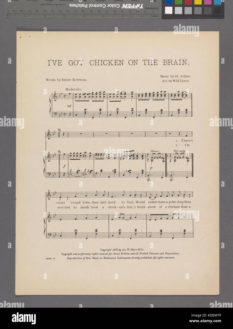 Old chicken brain hi-res stock photography and images - Alamy