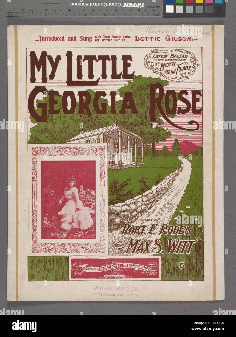 My little Georgia rose (NYPL Hades 609773 1256462 Stock Photo - Alamy