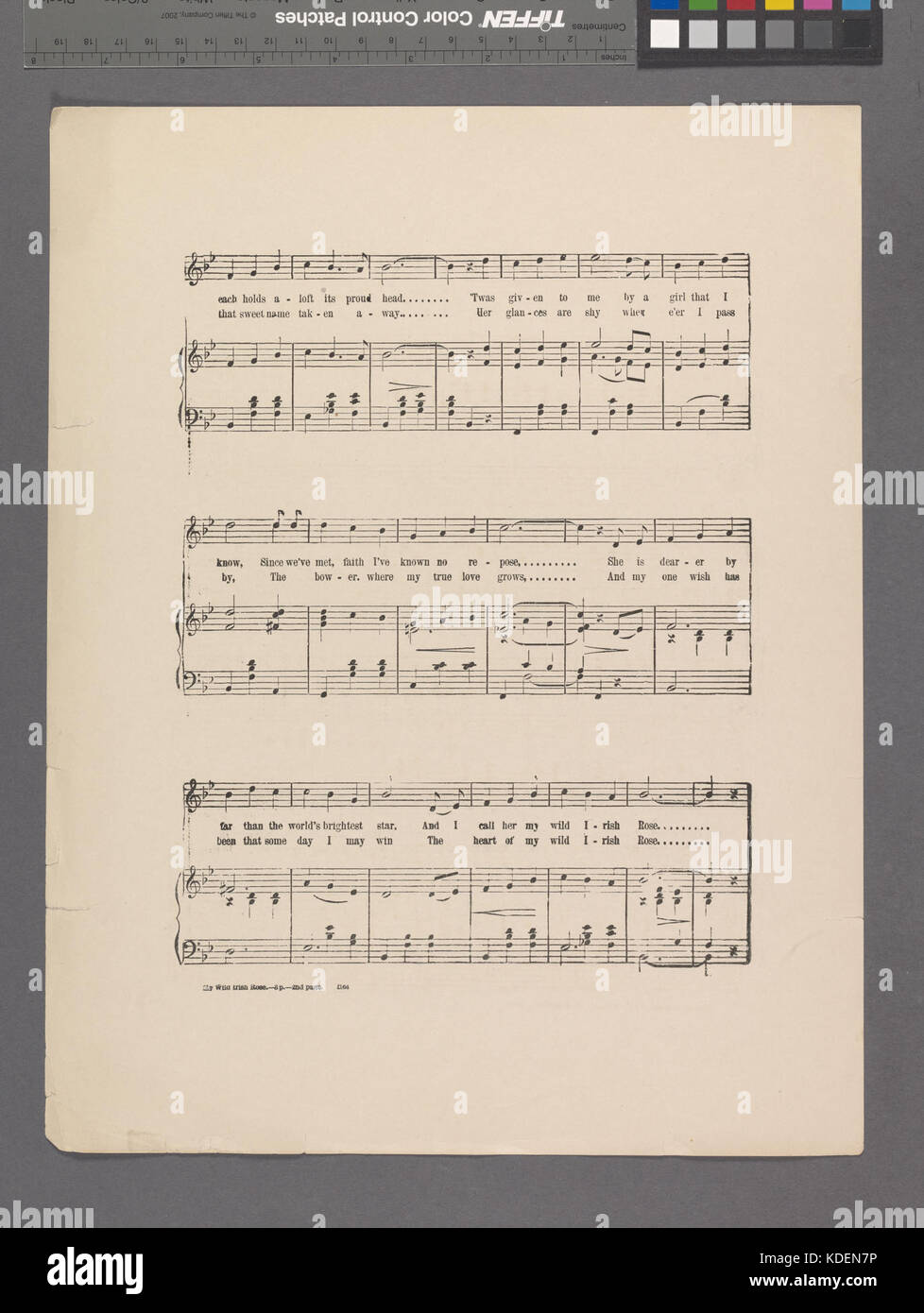 'My Wild Irish Rose' is an iconic song, known for its Irish roots. This ...
