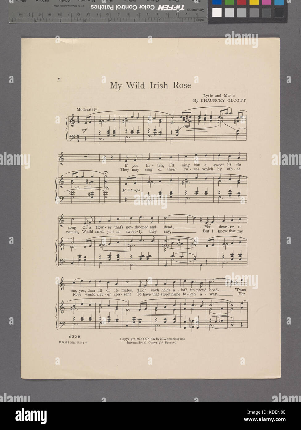 The cover image of 'My Wild Irish Rose' captures the essence of a ...