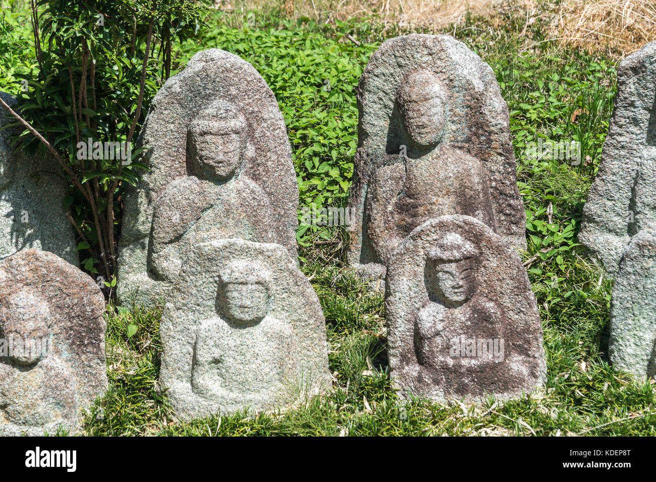 Rakusa,i Chikurin, Park, Rakusai Chikurin Park, bamboo, forest, kyoto ...