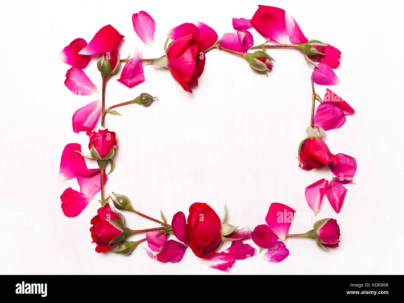 frame of pink,red flowers on white background.Pattern of red roses.Flat ...