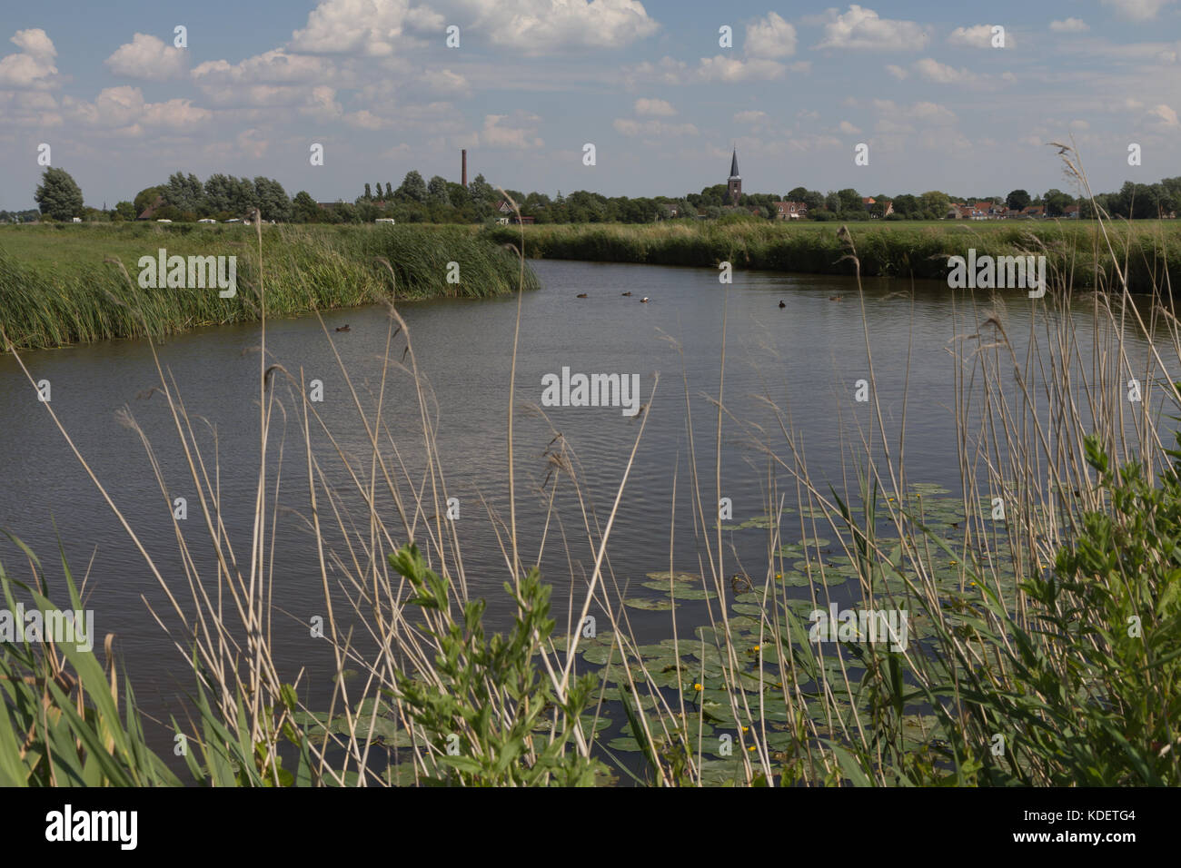View over fields in the north off the Netherlands Stock Photo - Alamy