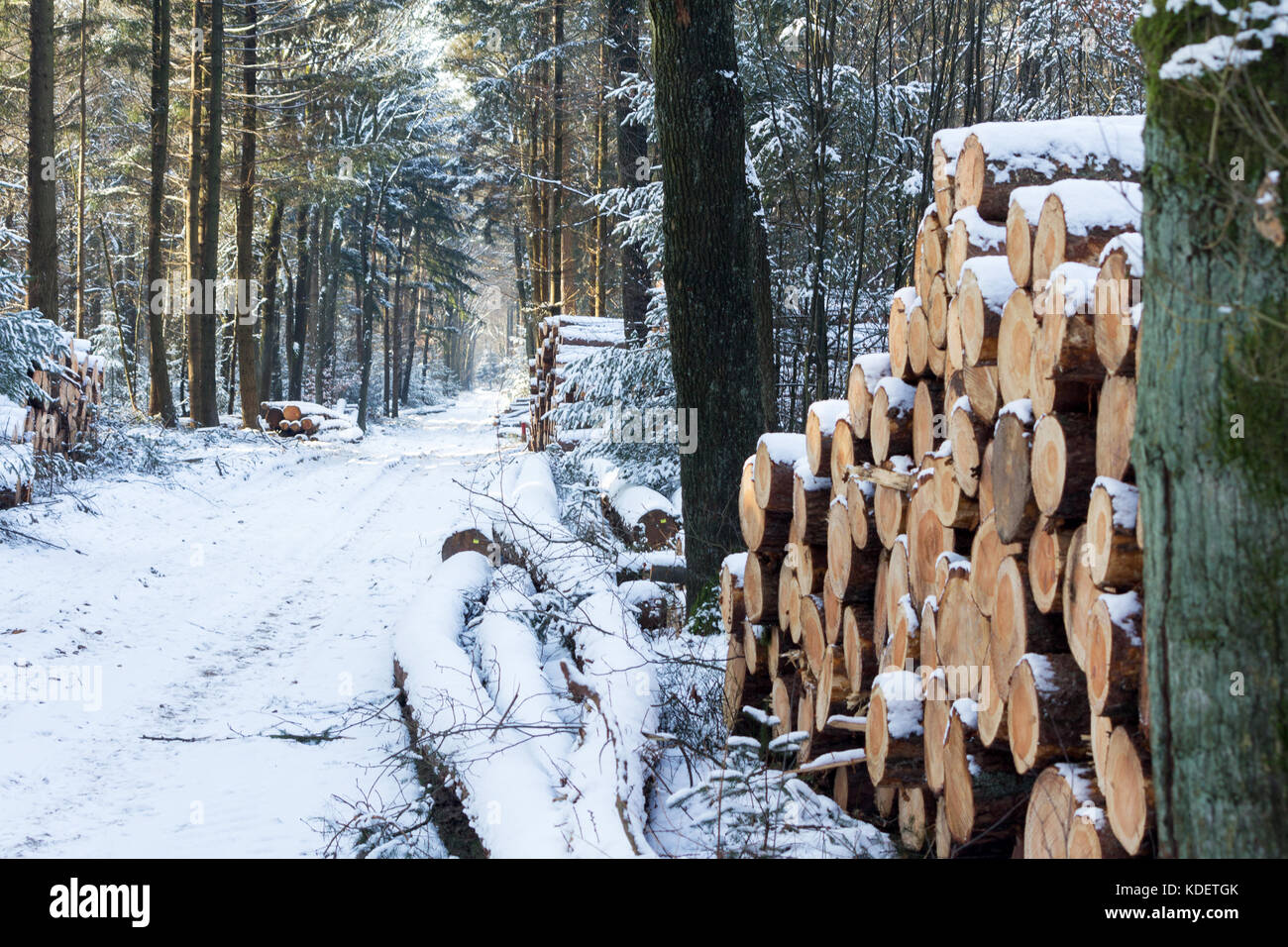 Snow in the Netherlands Stock Photo - Alamy