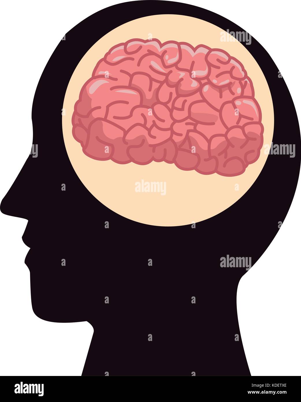 Human brain silhouette Stock Vector Image & Art - Alamy