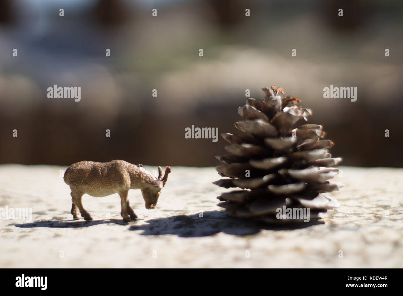 Cone of silence hi-res stock photography and images - Alamy