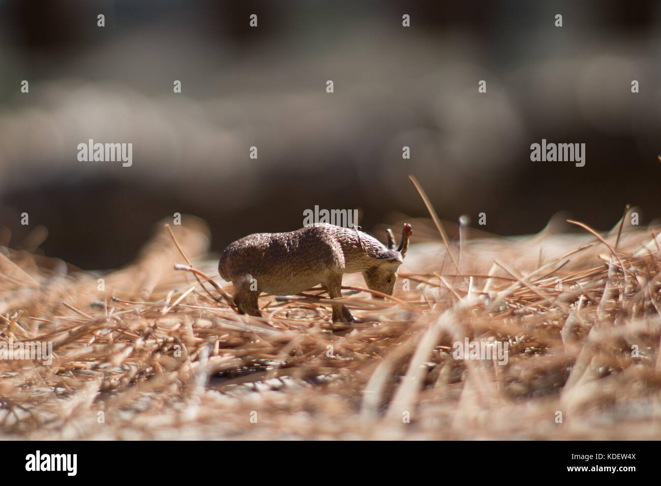 plastic goat toy eating grass on the nature close up Stock Photo - Alamy