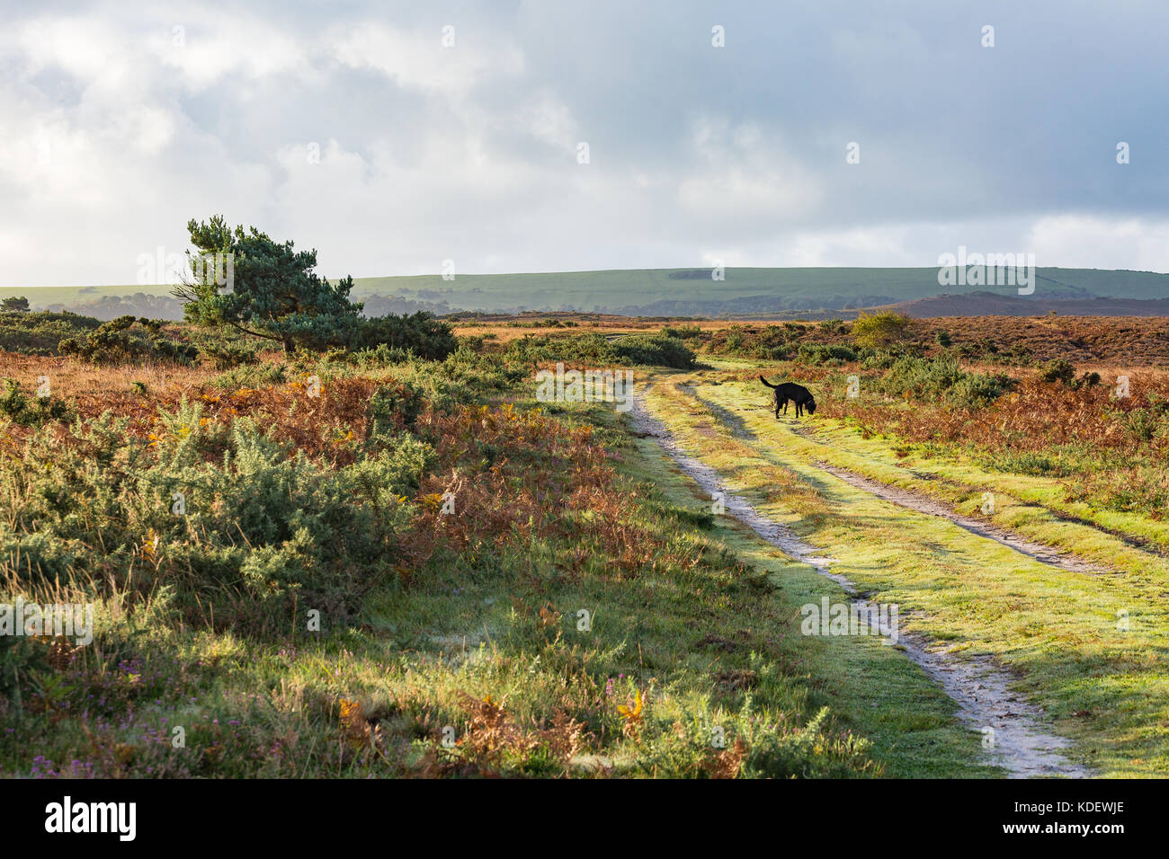 Turning Over Rocks High Resolution Stock Photography and Images - Alamy