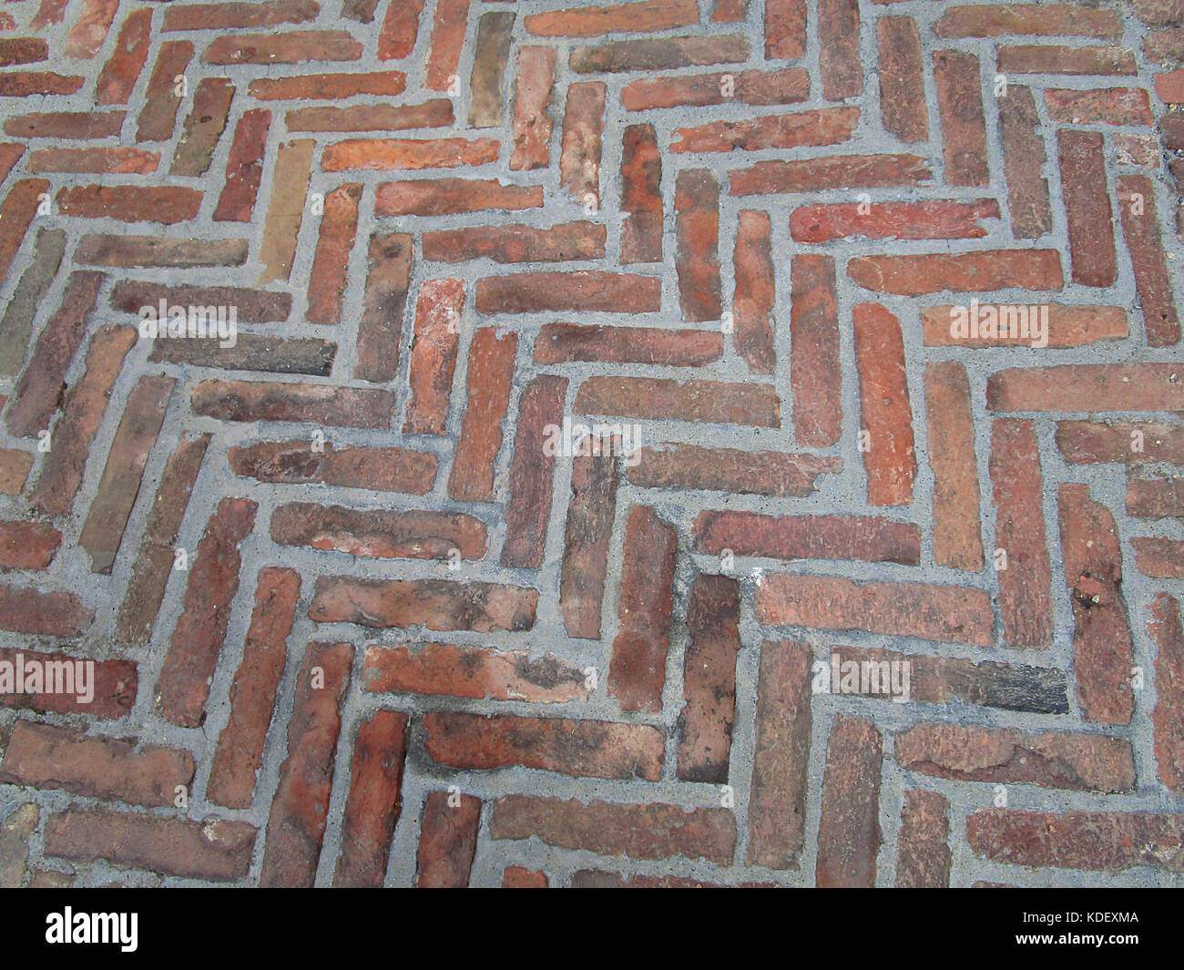 fish bait bricks Stock Photo - Alamy