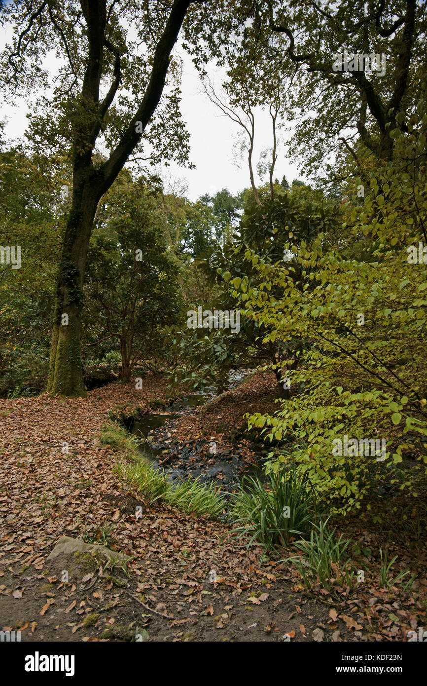 Clyne gardens hi-res stock photography and images - Alamy