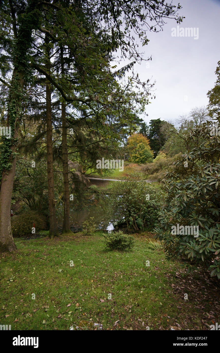 Clyne garden hi-res stock photography and images - Alamy