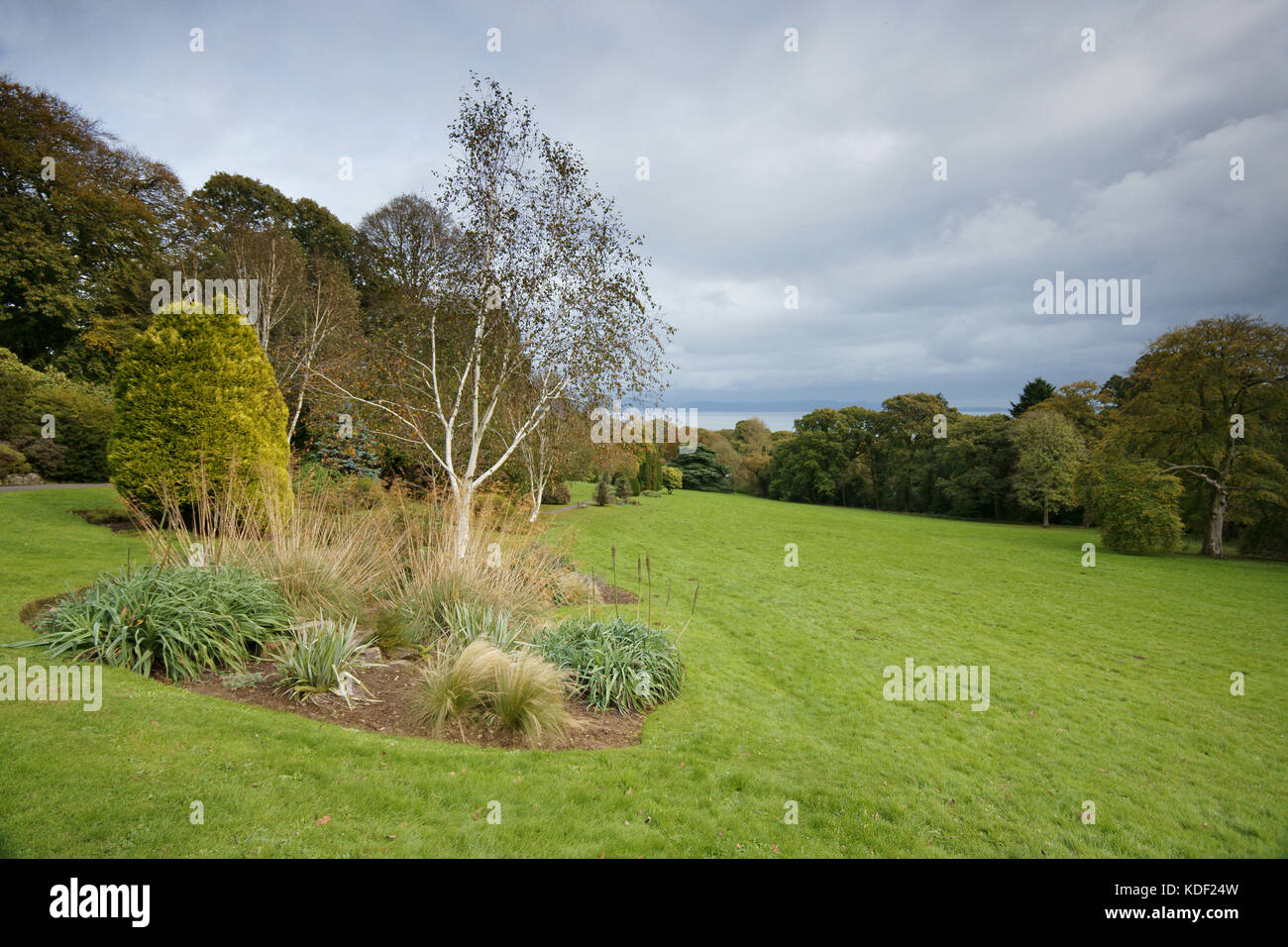 Clyne gardens hi-res stock photography and images - Alamy