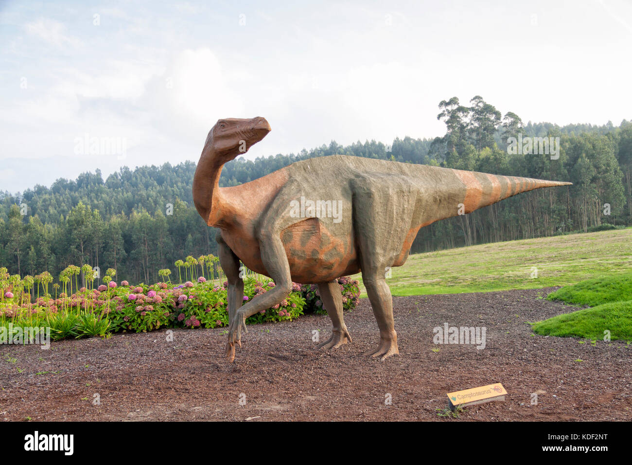 Camptosaurus dinosaur model. In the Jurassic Museum of Asturias. Spain ...