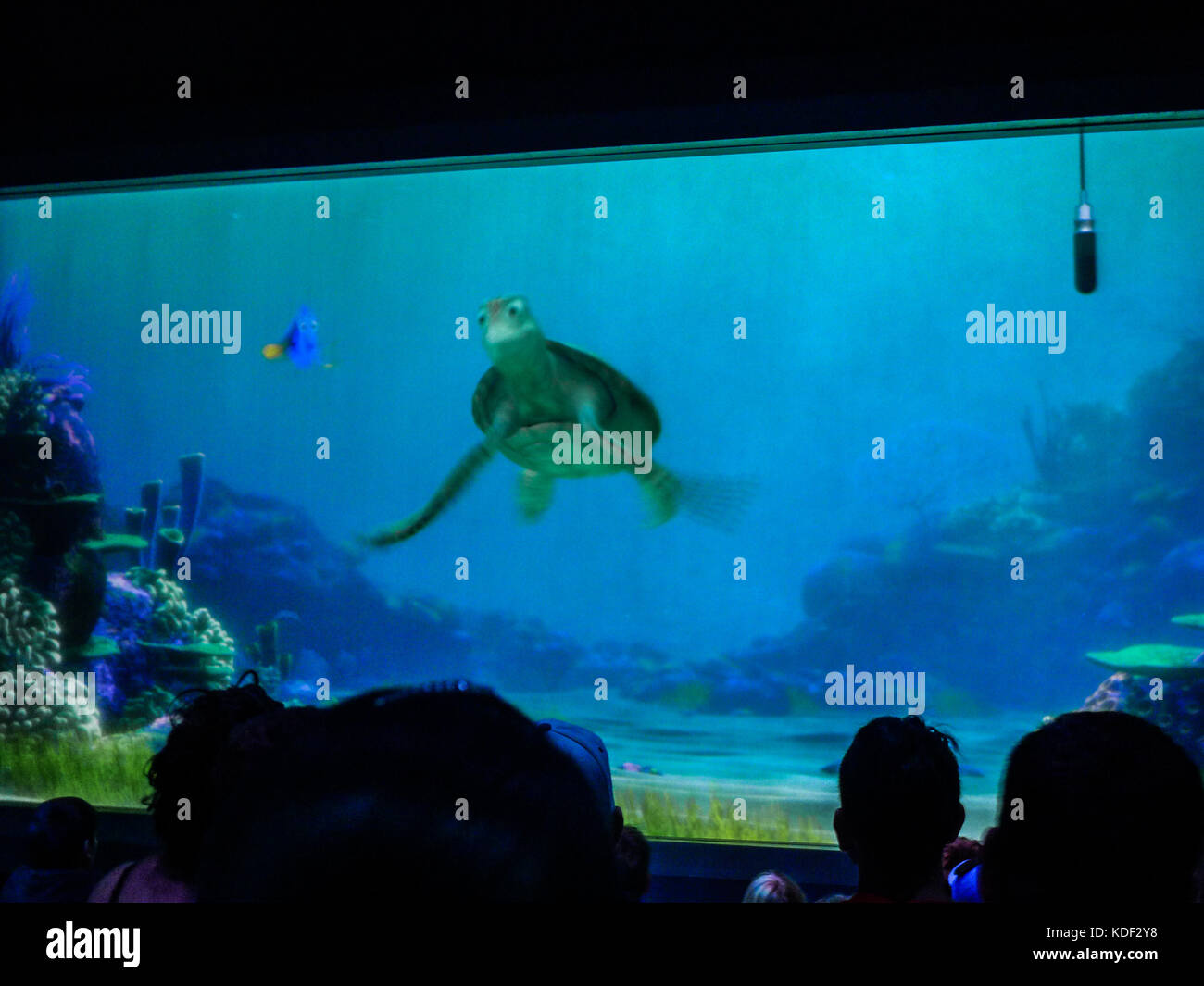 Finding NEMO attraction with a talking Crush turtle in Disney World ...