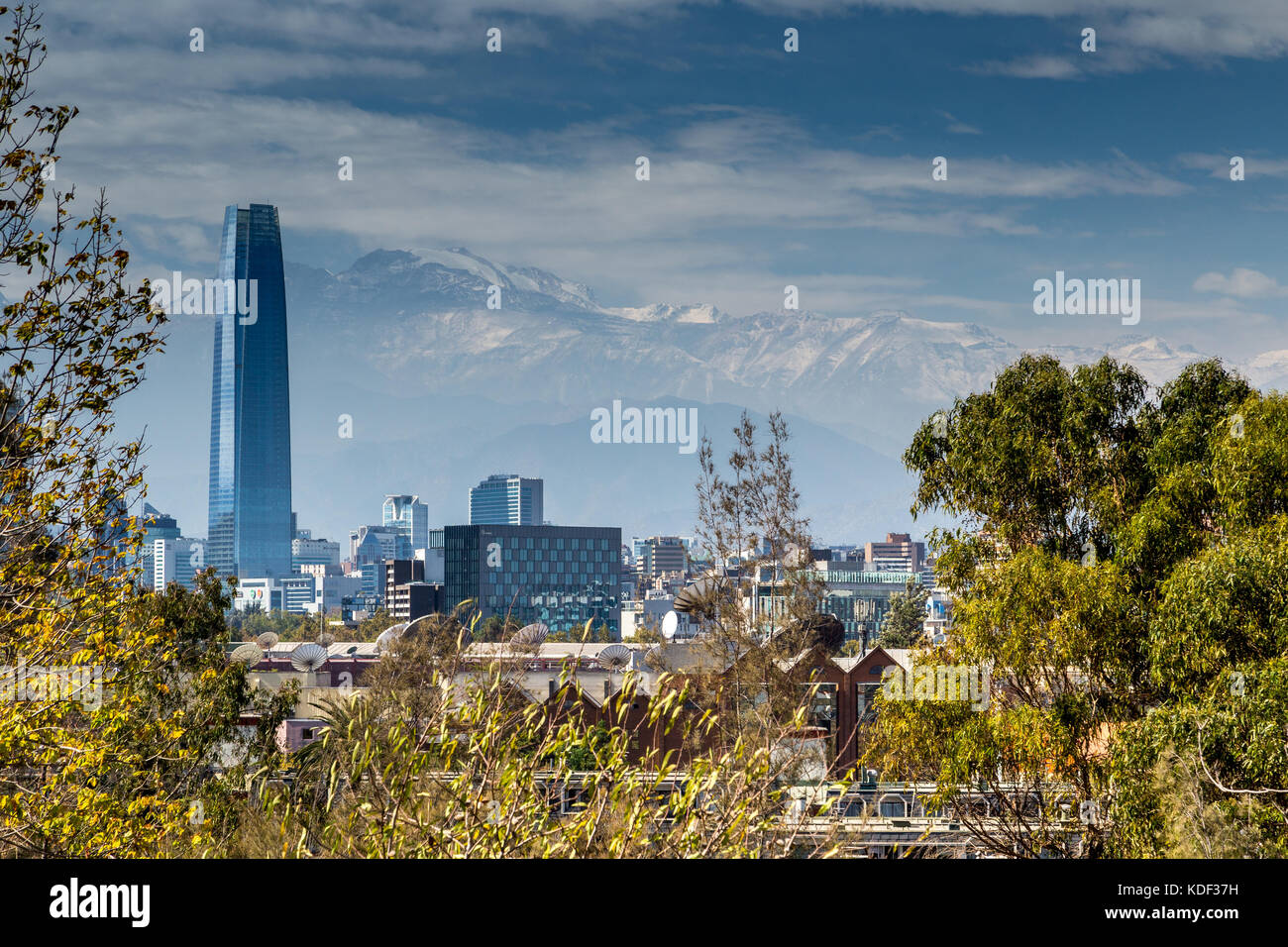 Santiago chile palm tree hi-res stock photography and images - Alamy