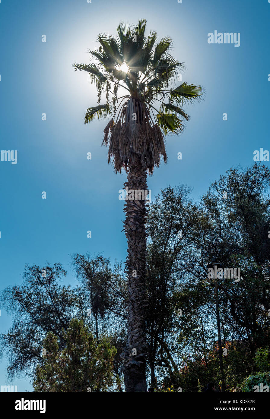 Capital of chile hi-res stock photography and images - Alamy