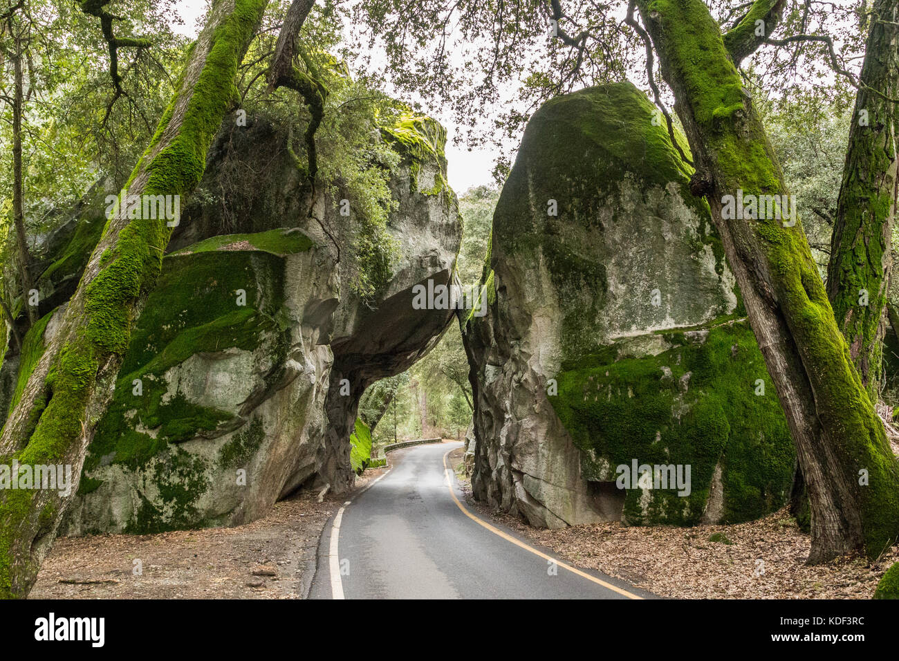 El Capitan, California, America Stock Photo - Alamy