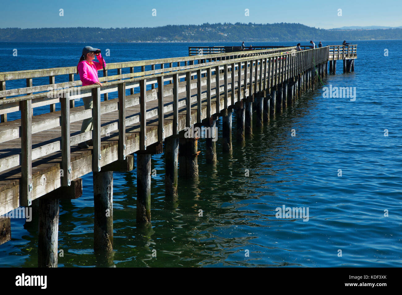 Birding on Tramp Harbor Dock, Tramp Harbor Dock Park, Vashon Island ...