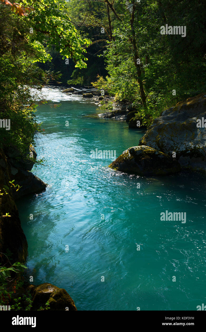 Duckabush River, Olympic National Forest, Washington Stock Photo - Alamy