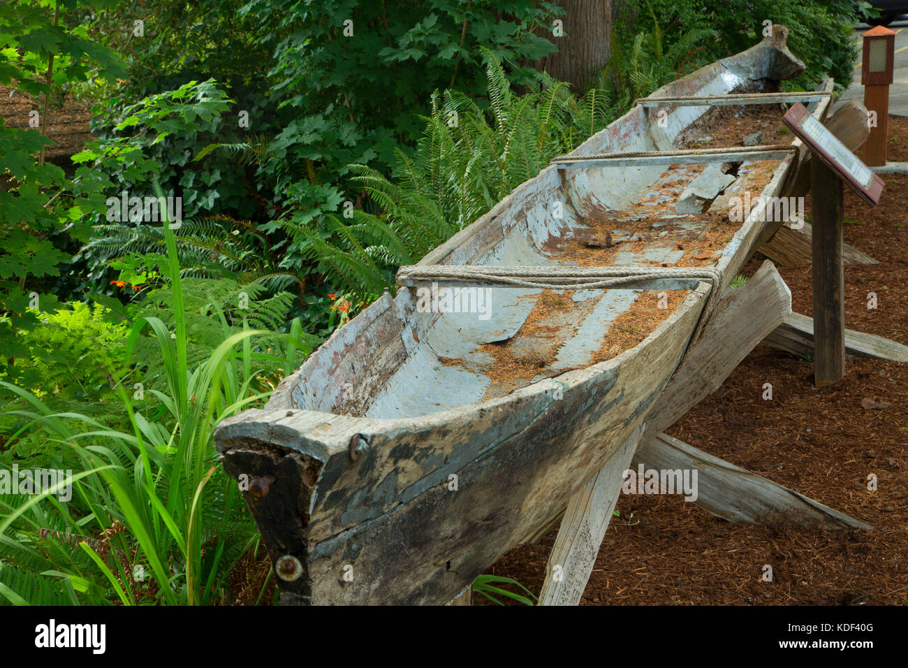 Lake Quinault Lodge canoe display, Olympic National Forest, Washington ...