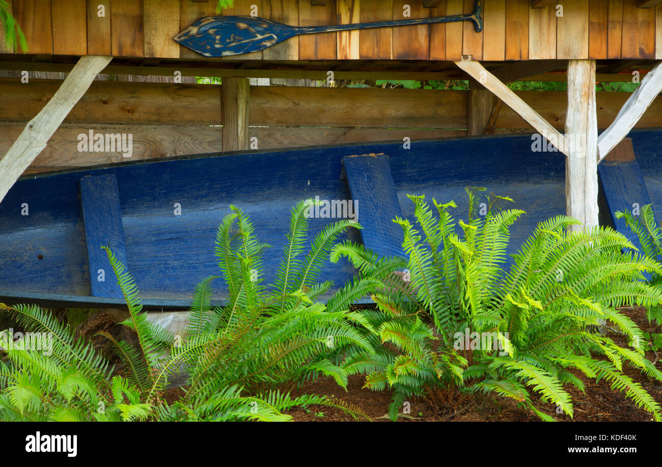 Lake Quinault Lodge canoe display, Olympic National Forest, Washington ...