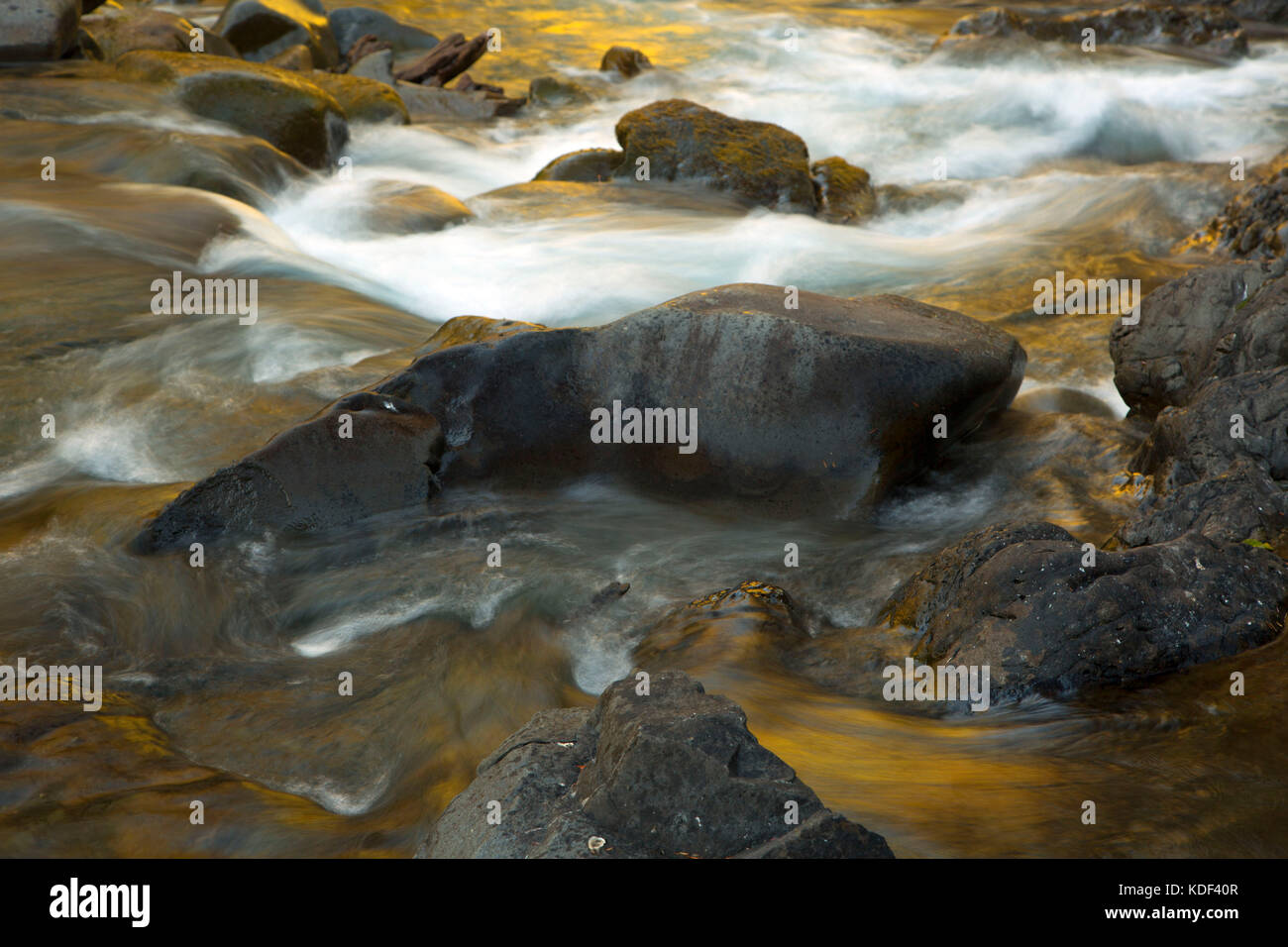 Sol Duc River, Olympic National Park, Washington Stock Photo - Alamy