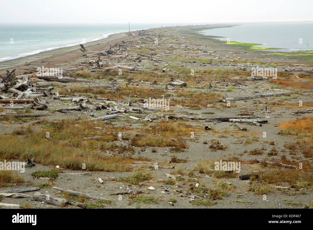 Dungeness Spit, Dungeness National Wildlife Refuge, Washington Stock ...
