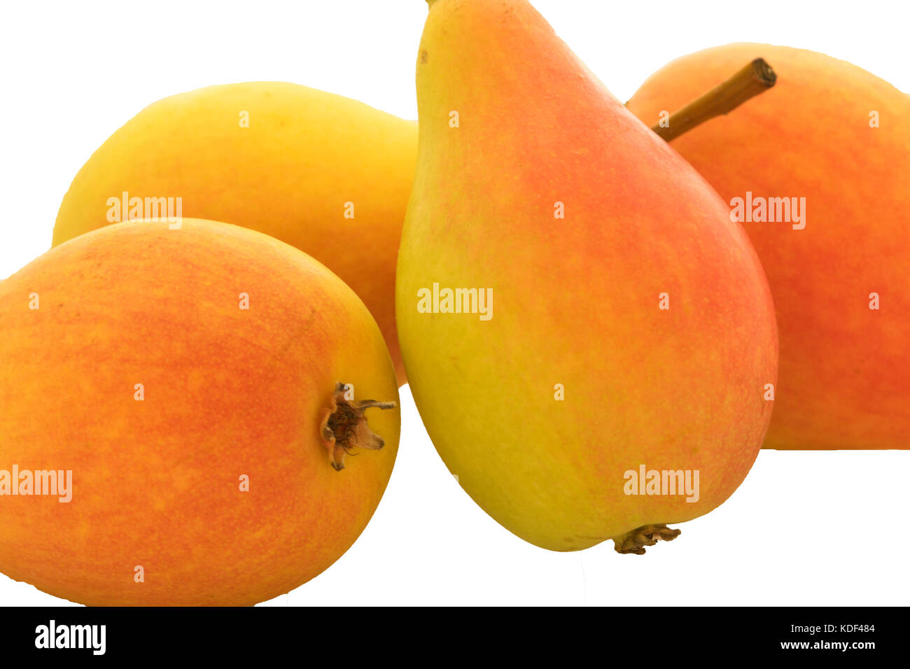 Arganche pear hi-res stock photography and images - Alamy