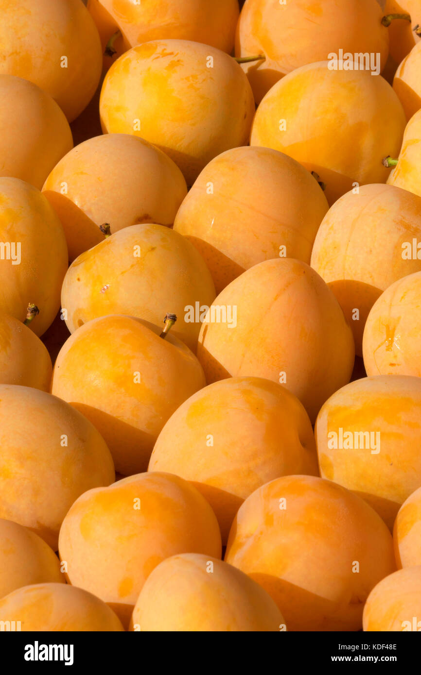 Shiro plum hi-res stock photography and images - Alamy