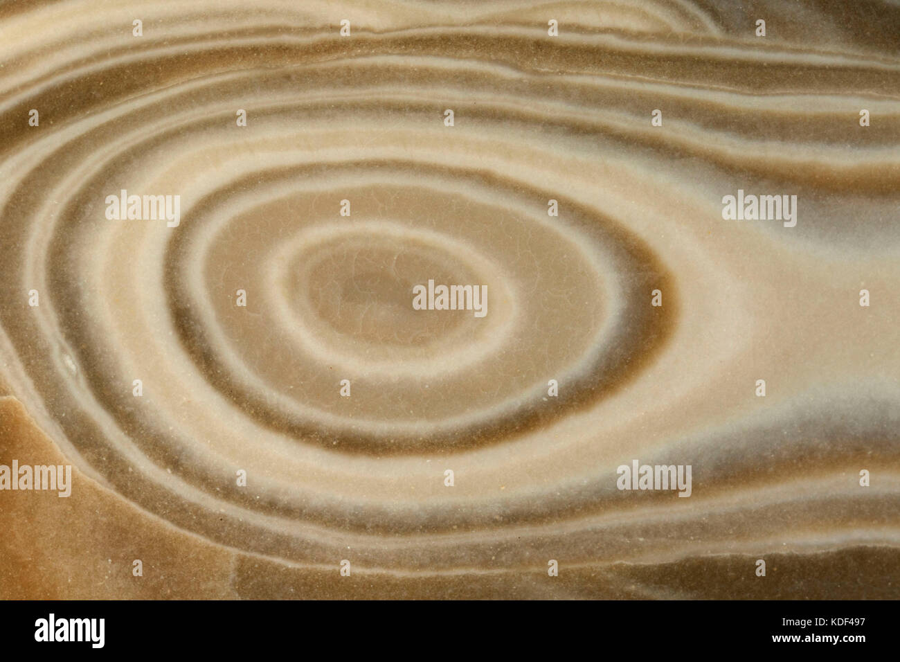 Polish flint hi-res stock photography and images - Alamy