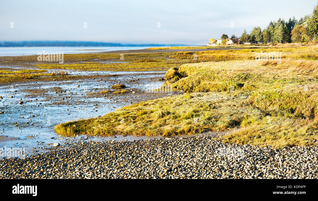 Belfair State Park Stock Photo - Alamy