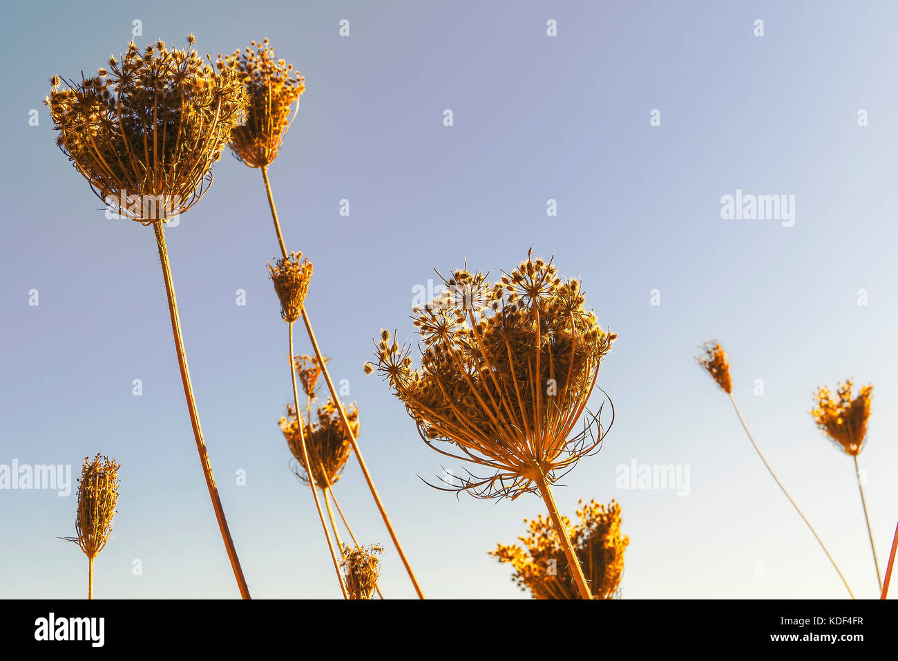Belfair State Park Stock Photo - Alamy