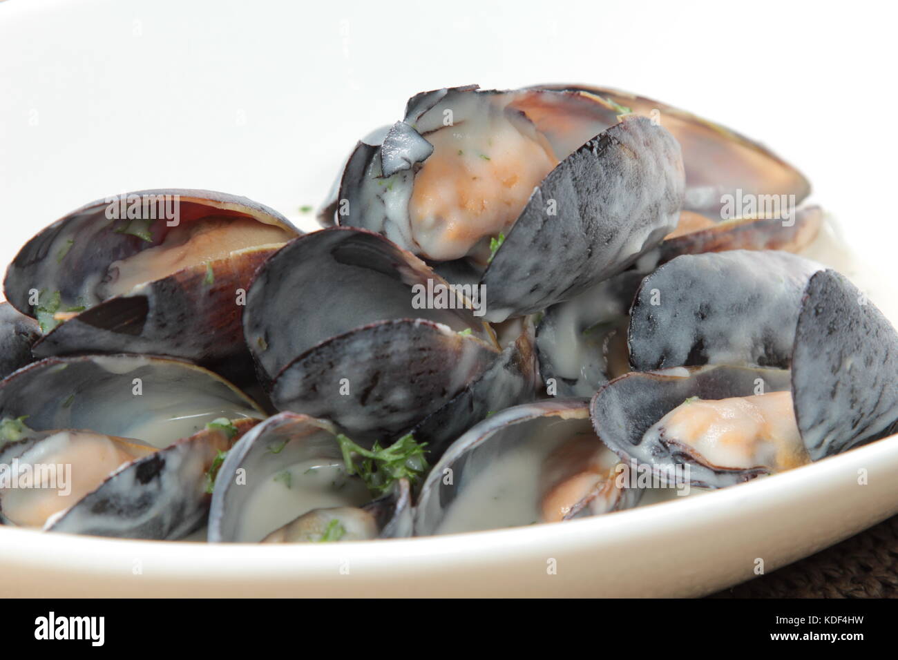 clam or mussel cuisine Stock Photo - Alamy