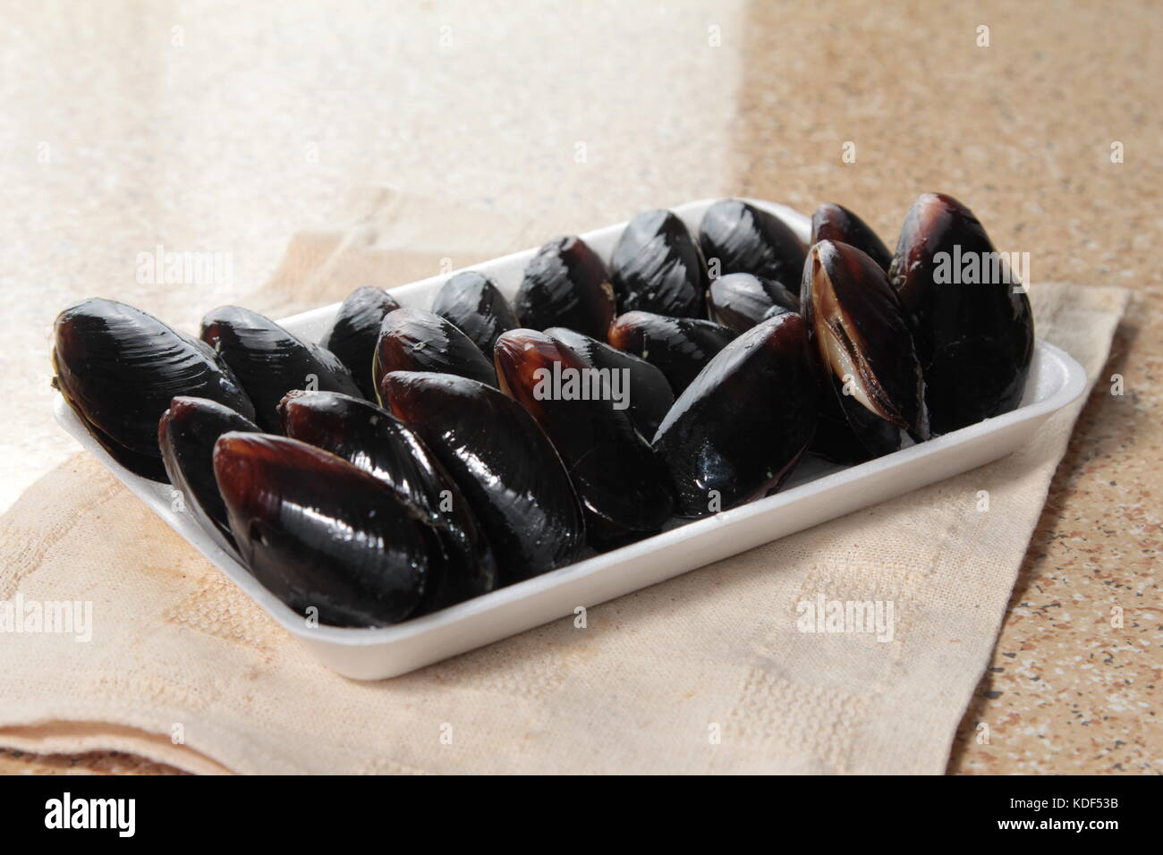 clam or mussel cuisine Stock Photo - Alamy