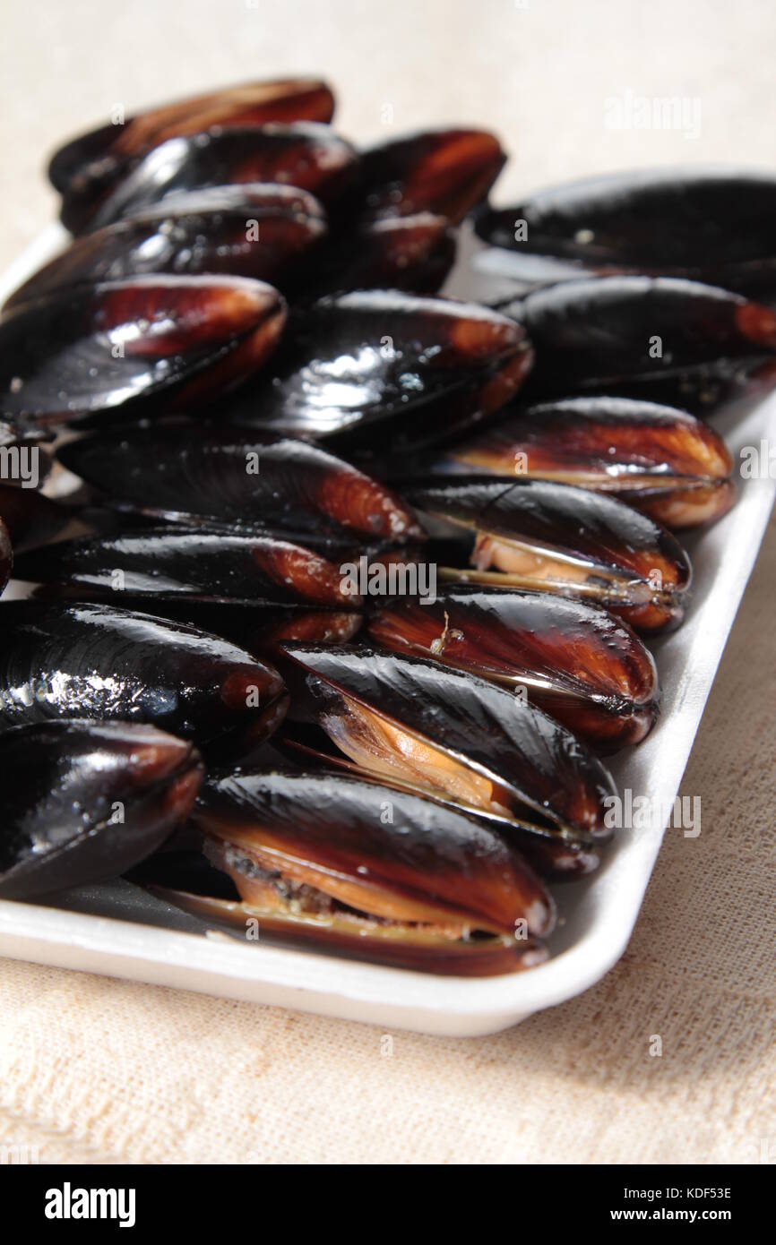 clam or mussel cuisine Stock Photo - Alamy