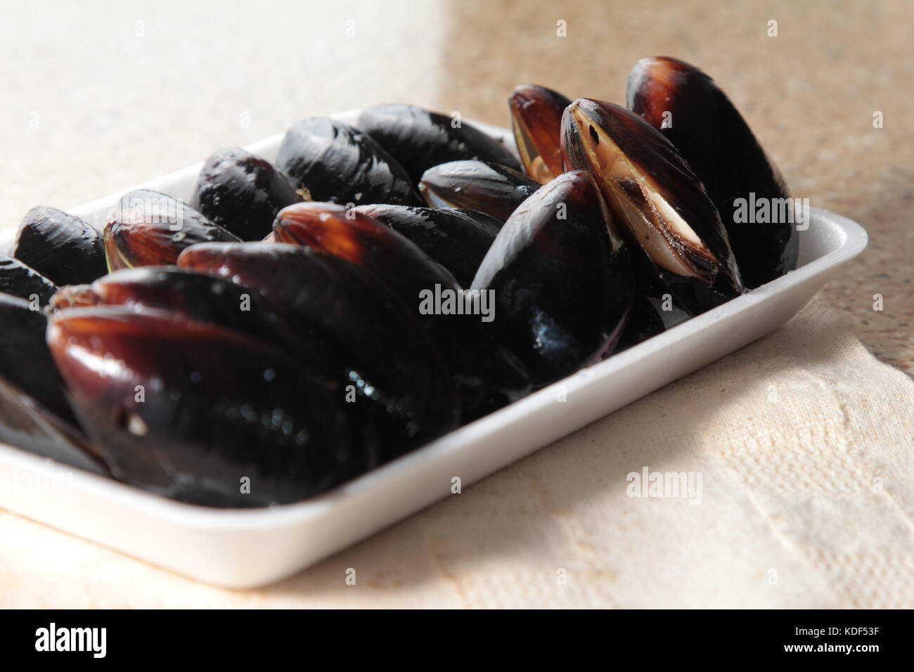 clam or mussel cuisine Stock Photo - Alamy