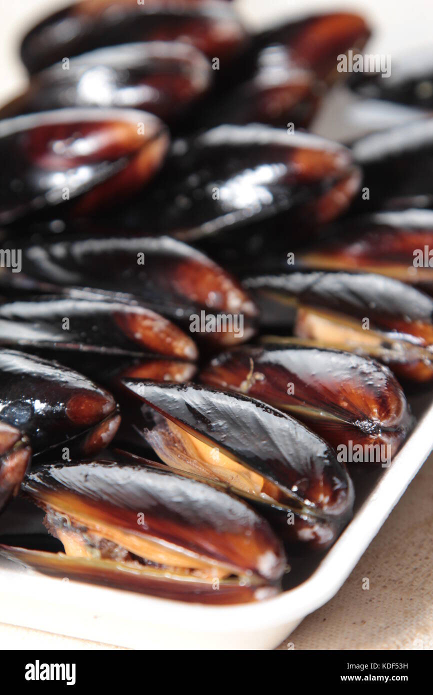 clam or mussel cuisine Stock Photo - Alamy