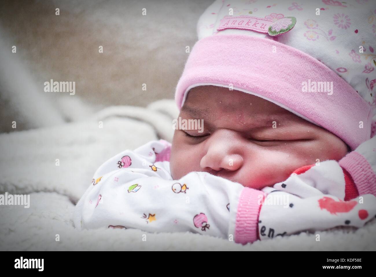 Family Bonding Time : New Girls On The Block Stock Photo - Alamy