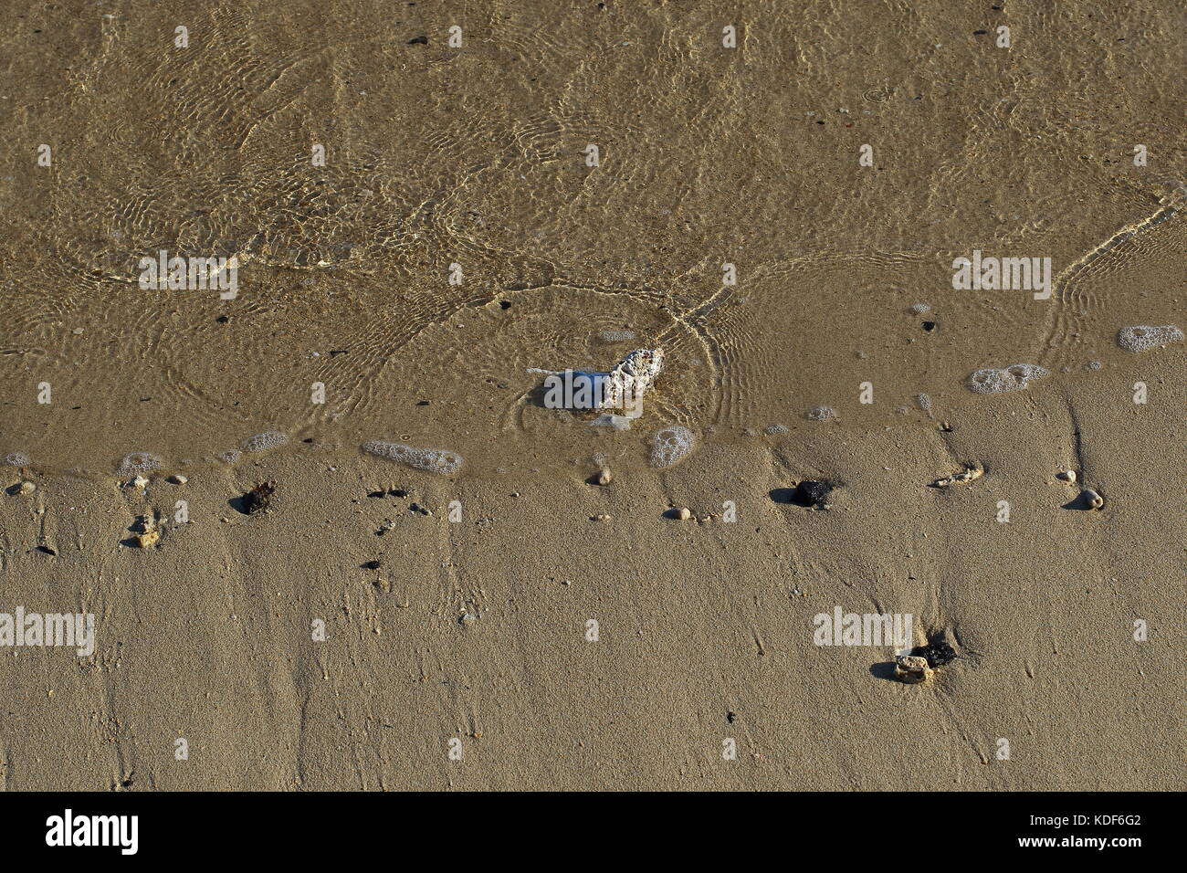 Tide Mark High Resolution Stock Photography and Images - Alamy