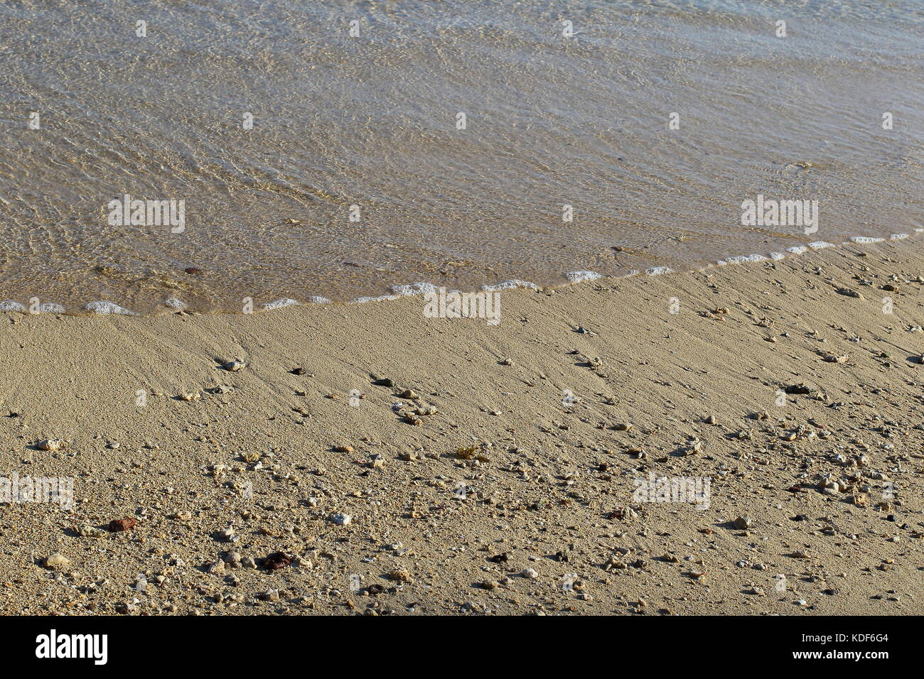 High tide mark on a sandy beach - image in landscape format with copy ...