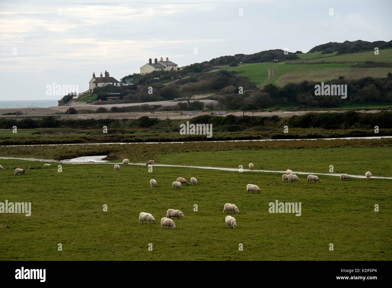 Seven Sisters Country Park situated at Exceat in East Sussex between ...