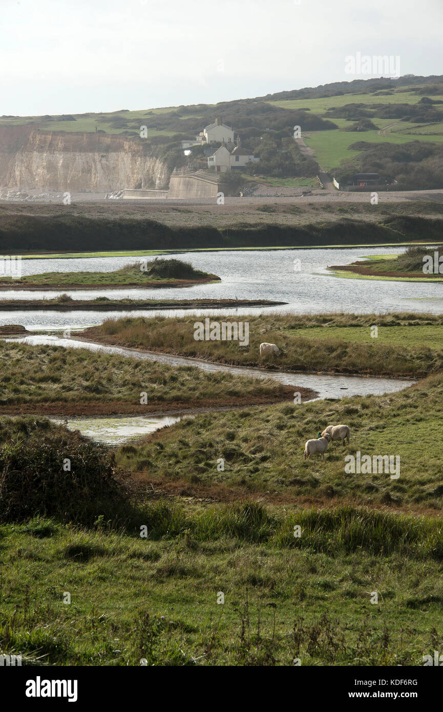 Seven Sisters Country Park situated at Exceat in East Sussex between ...