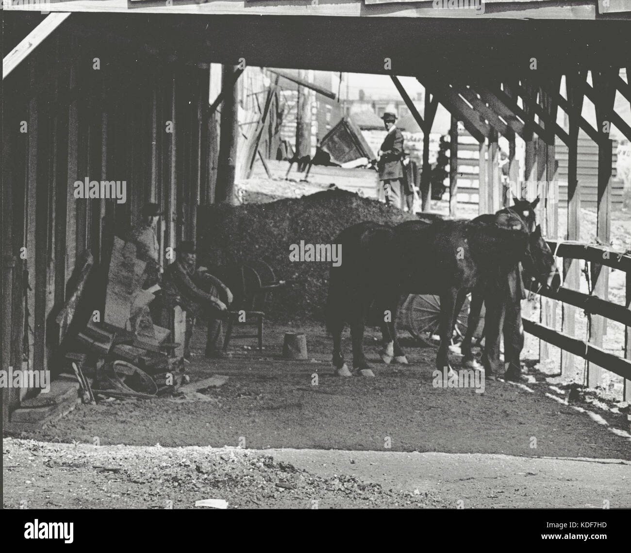 Stable setting hi-res stock photography and images - Alamy