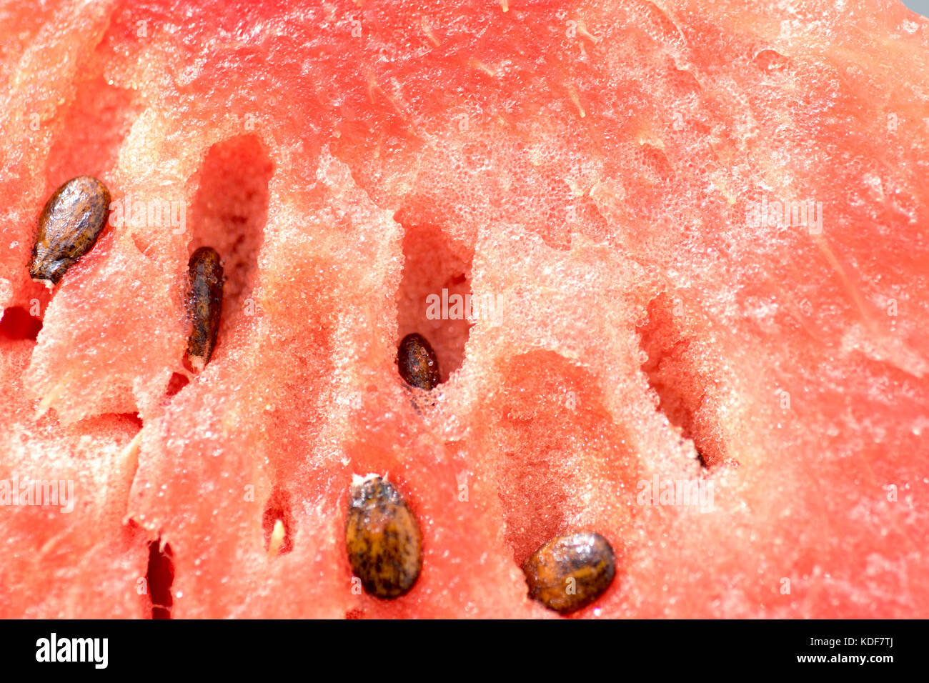 Detailed closeup of watermelon Stock Photo - Alamy