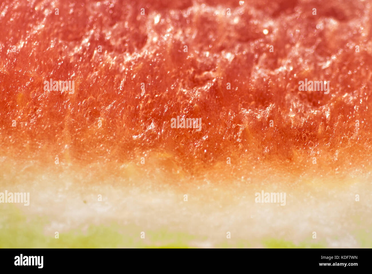 Detailed closeup of watermelon Stock Photo - Alamy