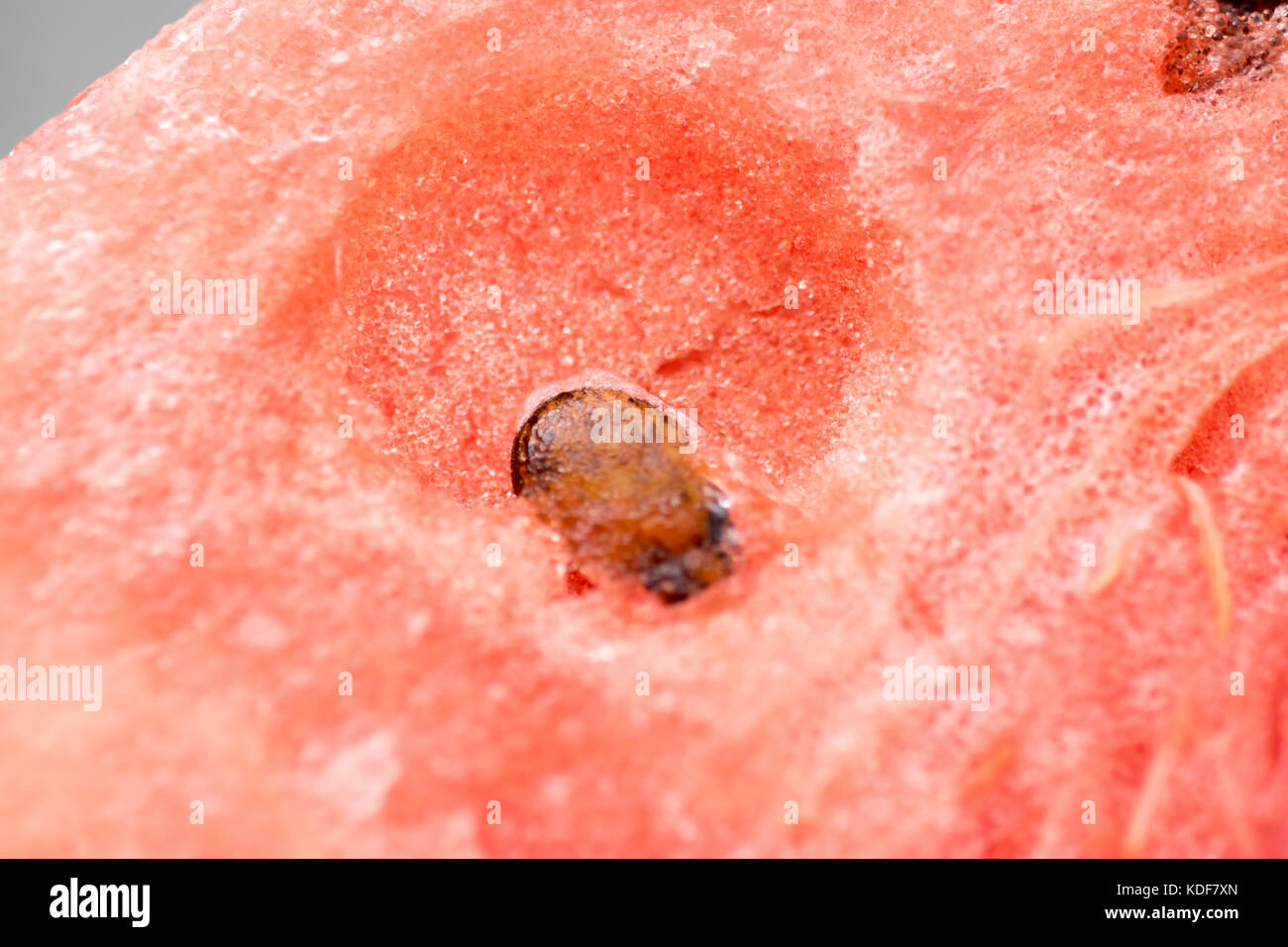 Detailed watermelon hi-res stock photography and images - Alamy
