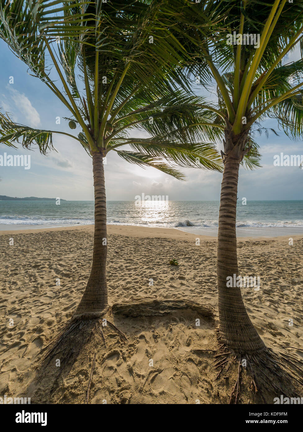 Beautiful tropical beach with coconut trees Stock Photo - Alamy