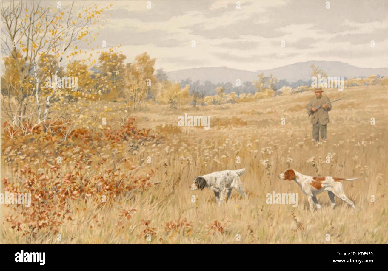 Quail A Dead Stand, by A B Frost from Shooting Pictures, by Scribner ...