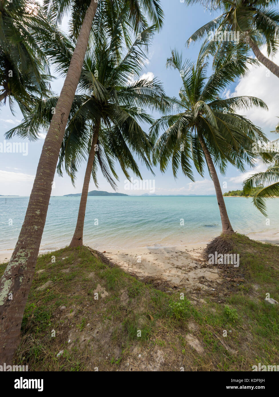 Beautiful tropical beach with coconut trees Stock Photo - Alamy