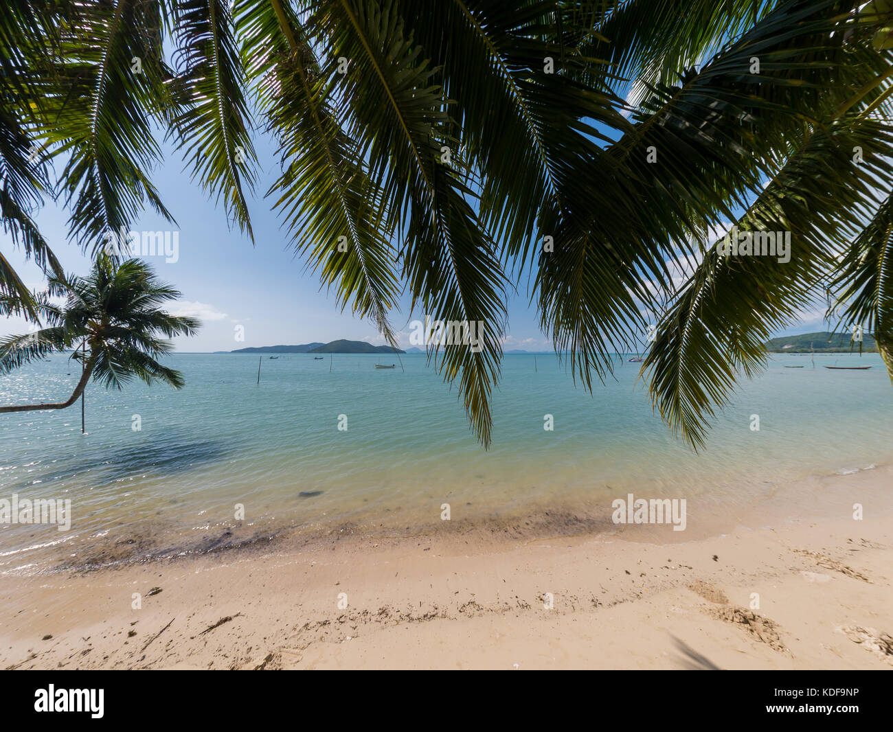 Beautiful tropical beach with coconut trees Stock Photo - Alamy